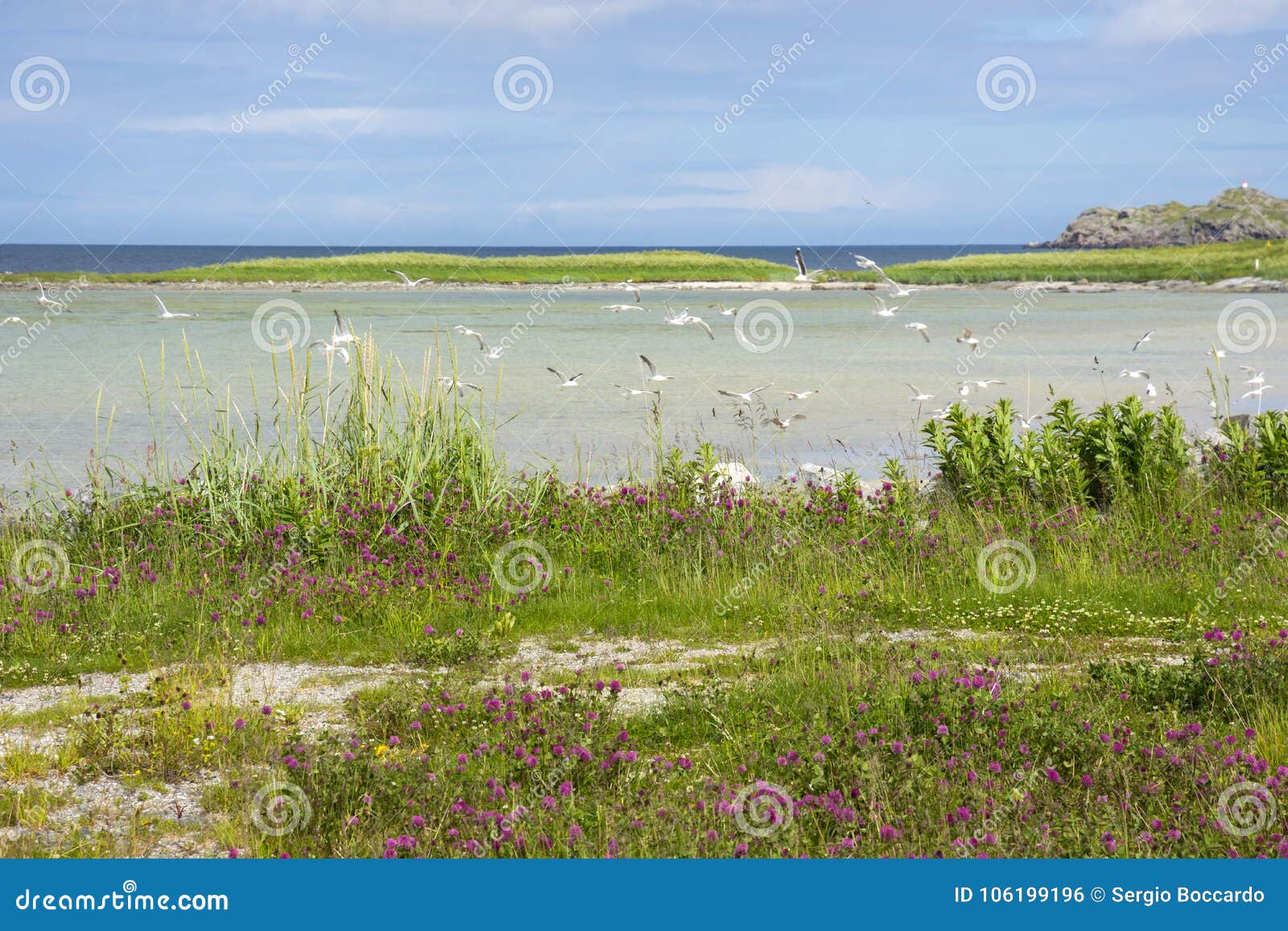 Overview in Eggun in Norway Stock Photo - Image of rocks, eggum: 106199196