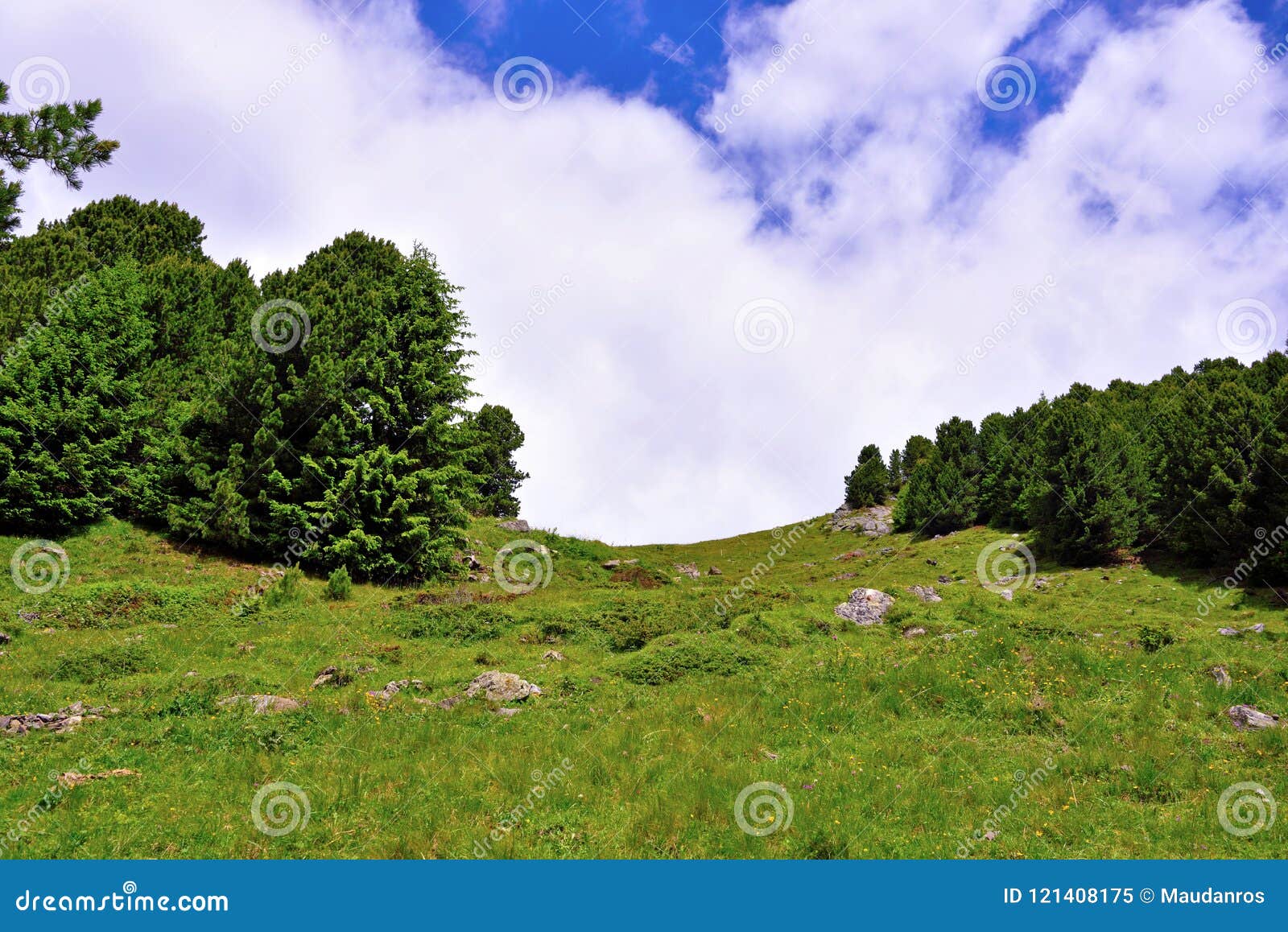 Panorama En La Trayectoria Al Lago Rodella Imagen de archivo - Imagen ...