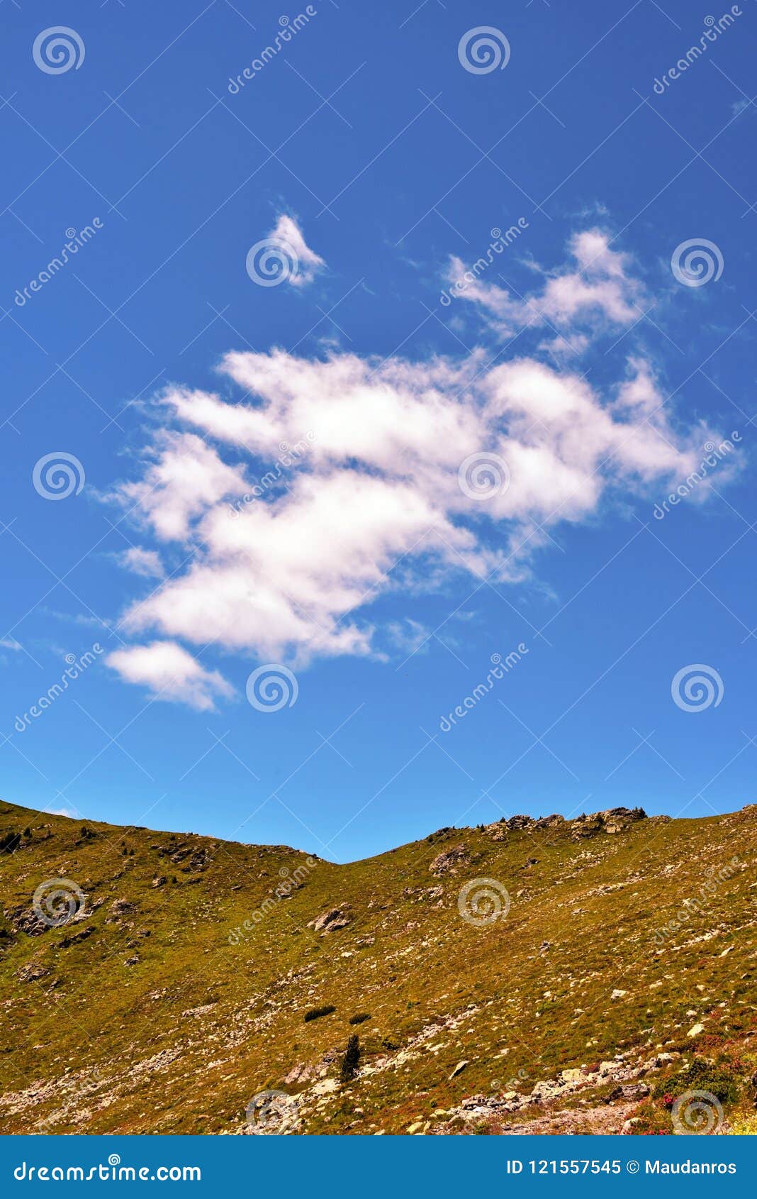 Panorama En La Trayectoria Al Lago Rodella Imagen de archivo - Imagen ...