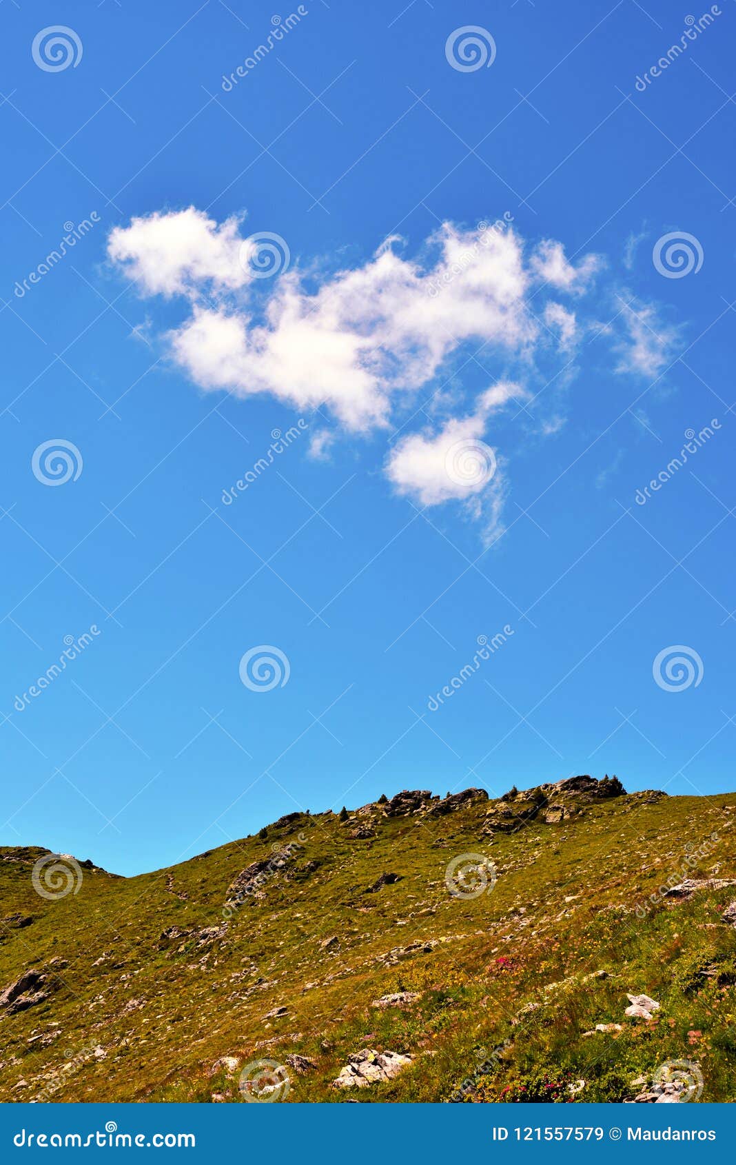 Panorama En La Trayectoria Al Lago Rodella Imagen de archivo - Imagen ...