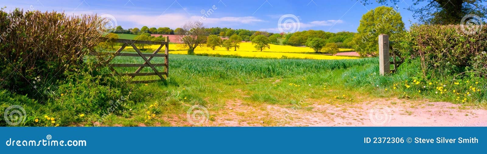 Panorama of English fields stock photo. Image of green - 2372306