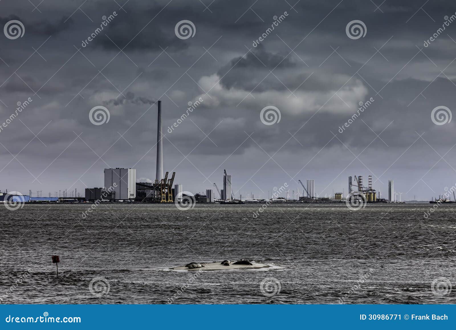 Panorama of Esbjerg Oil Harbor with Seals, Denmark Stock Image - Image ...