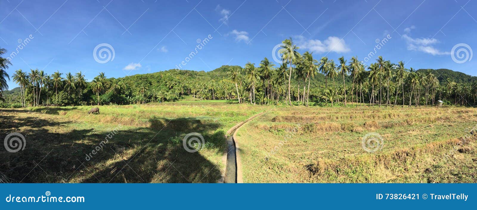 Panorama from farm land stock image. Image of field, anda - 73826421