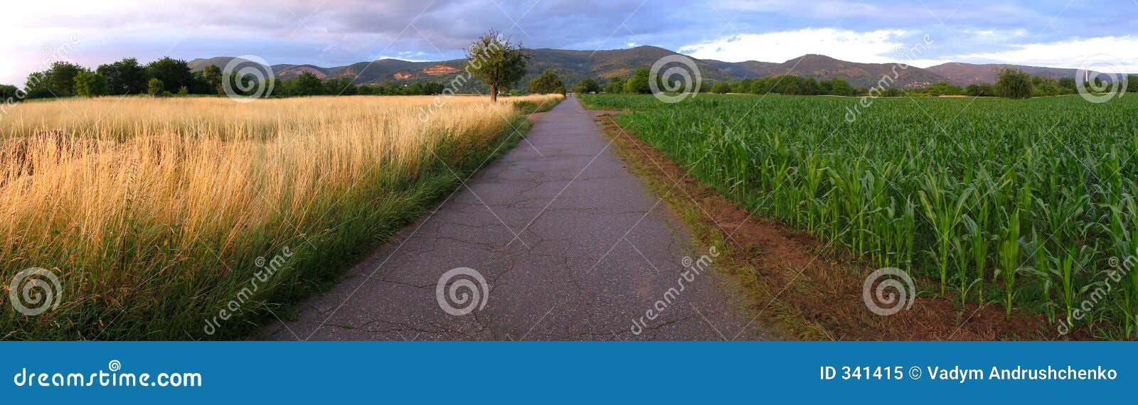 Panorama field stock image. Image of hills, panorama, grass - 341415