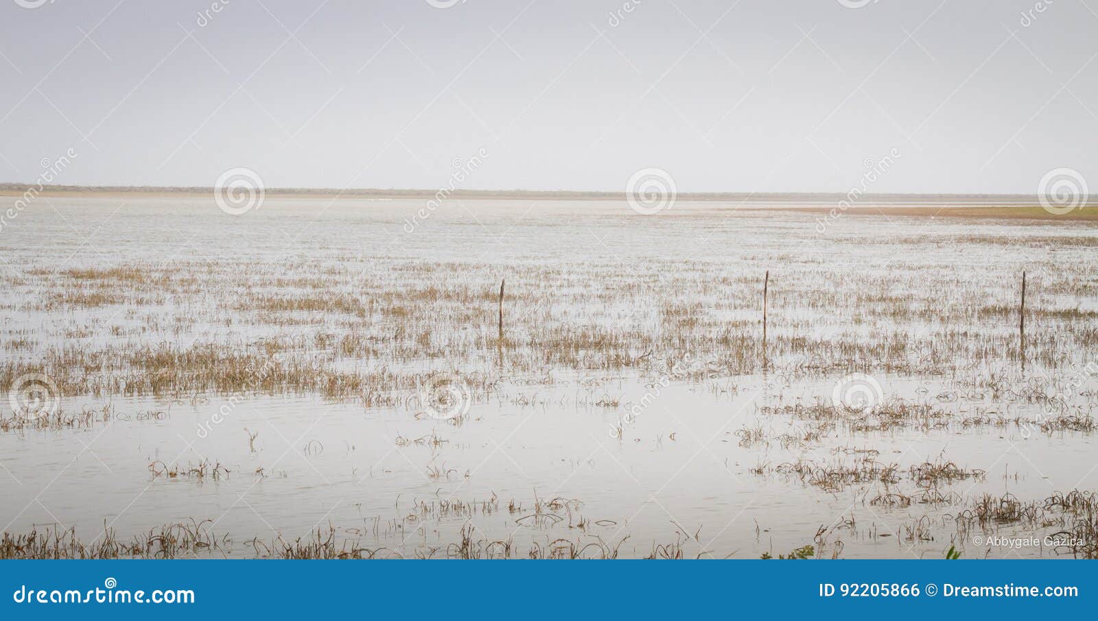 Panorama of Flooded Marsh Floodlands in Texas Stock Photo - Image of ...
