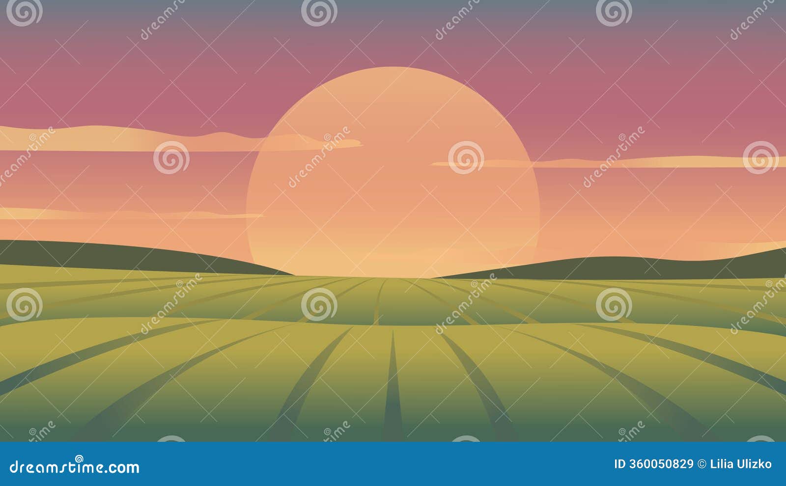 Panorama of a Green Field at Sunset. Vector Gradient Illustration ...