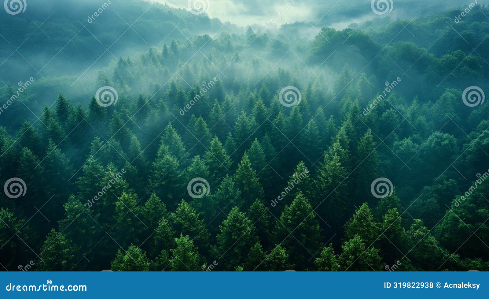 Panorama of Green Forest Landscape with Trees (trunks) Stock Photo ...