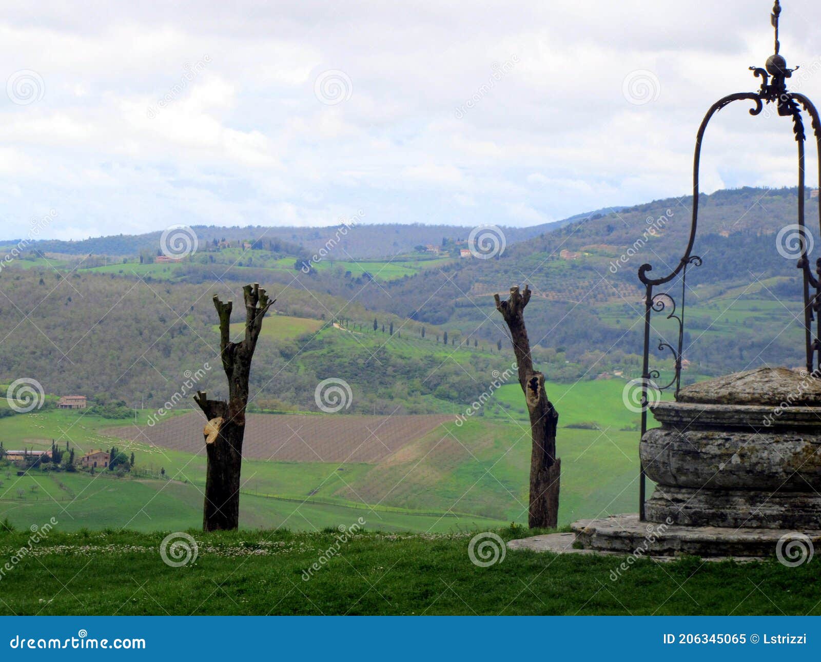 Panorama of the Green Landscape between Two Tree Trunks, from the Point ...