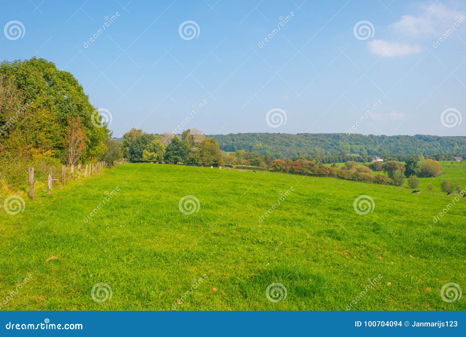 Panorama of a Green Meadow on a Hill in Sunlight Stock Photo - Image of ...