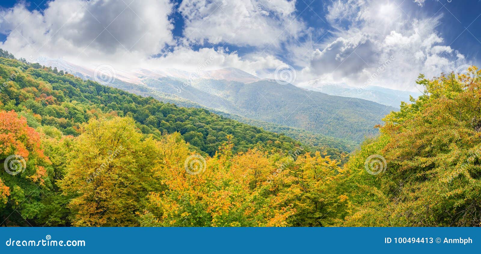 Panorama of the Hillside with Forest on a Foreground Stock Image ...