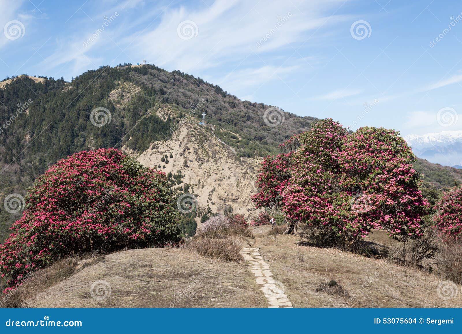 Panorama of the Himalayas in Nepal Spring Stock Photo - Image of beauty ...