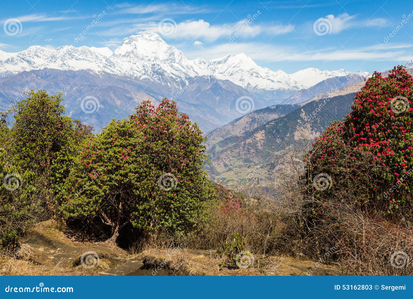 Panorama of the Himalayas in Nepal Spring Stock Image - Image of bright ...