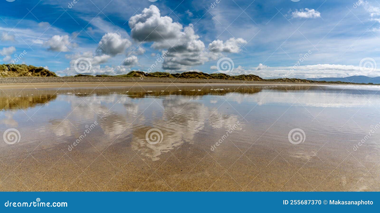 Panorama Landscape of an Empty Golden Sand Beach with Reflections of ...