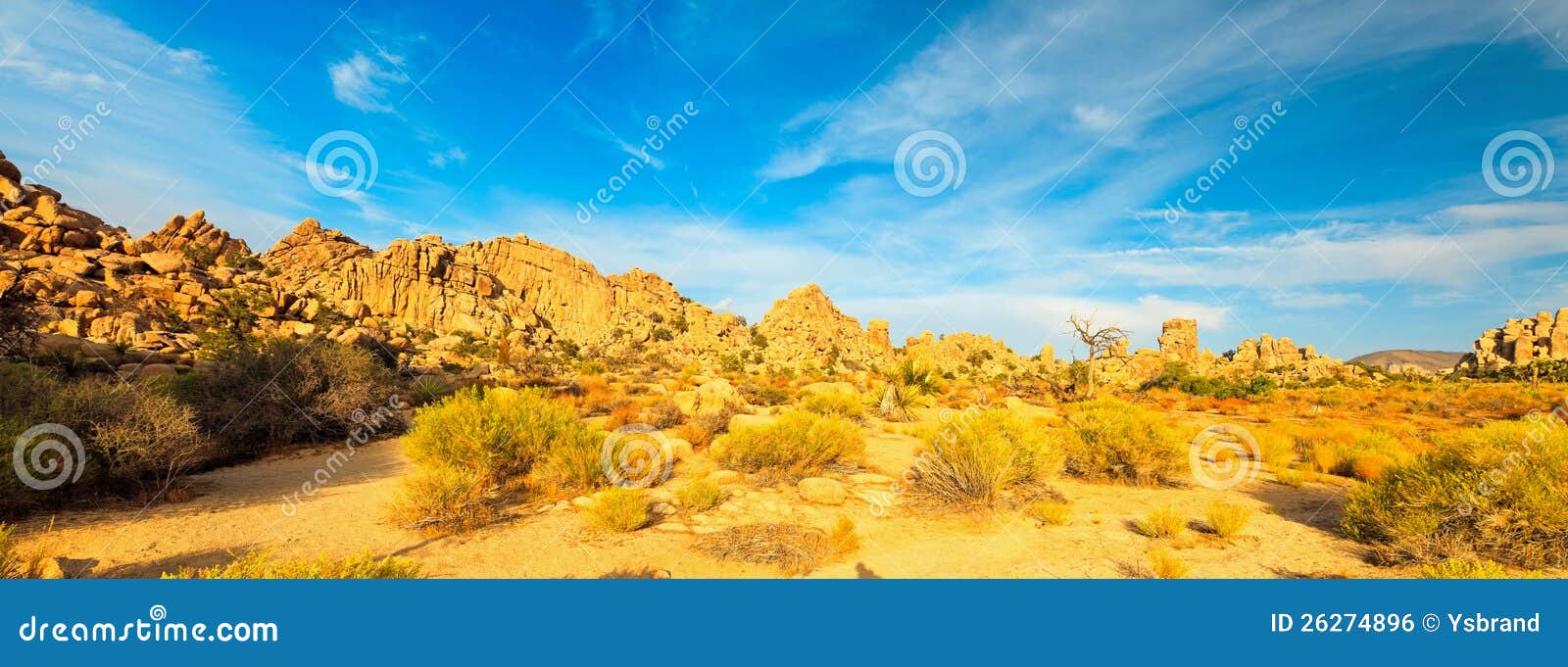 Panorama Landscape of Joshua Tree National Park. Stock Photo - Image of ...