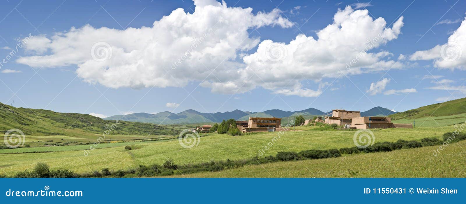Panorama Landscape in Tibet Stock Image - Image of farm, tibet: 11550431