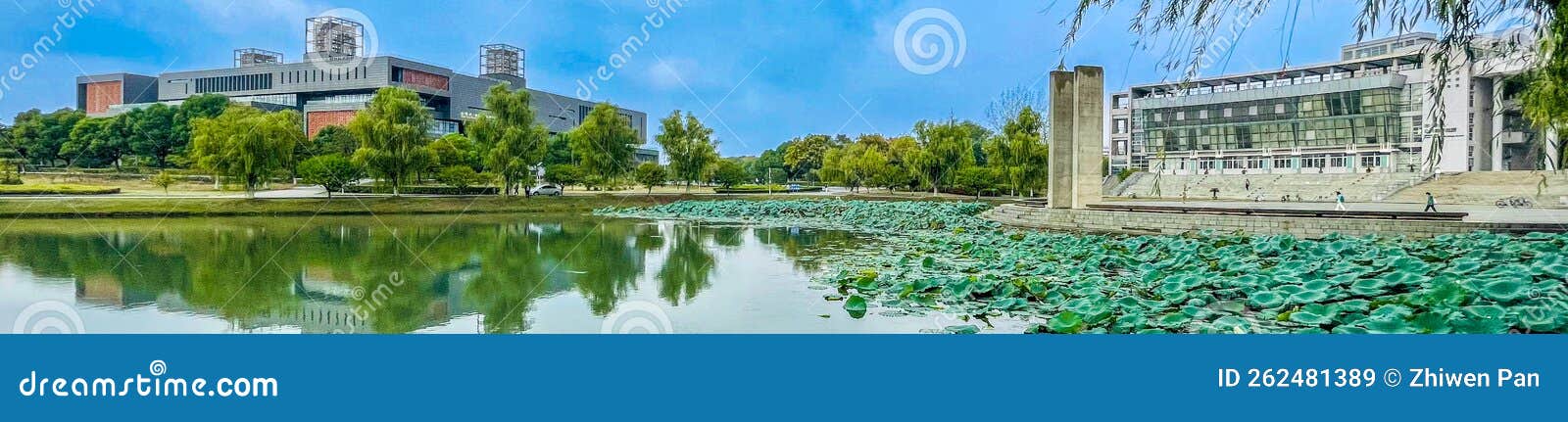 Panorama of the Library stock image. Image of library - 262481389