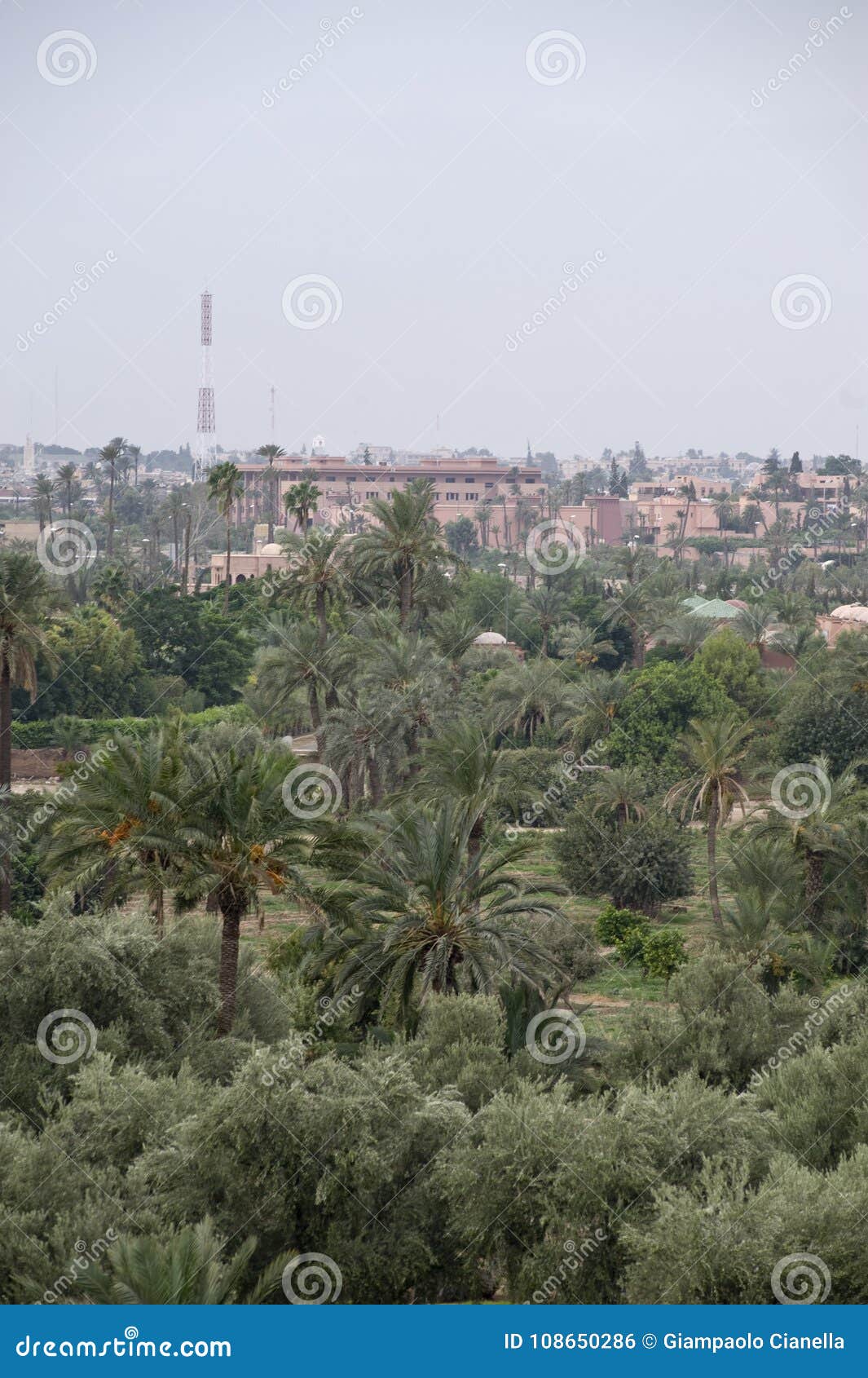 Panorama of marrakech stock photo. Image of architecture - 108650286