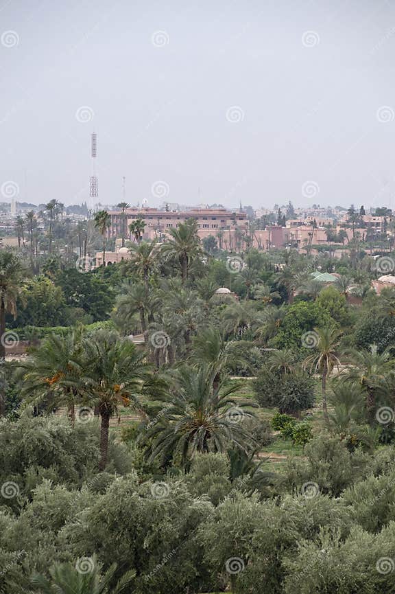 Panorama of marrakech stock photo. Image of architecture - 108650286