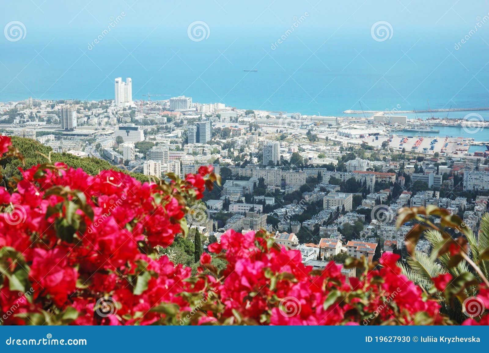 Panorama of Modern City Haifa ,Israel Stock Photo - Image of haifa ...