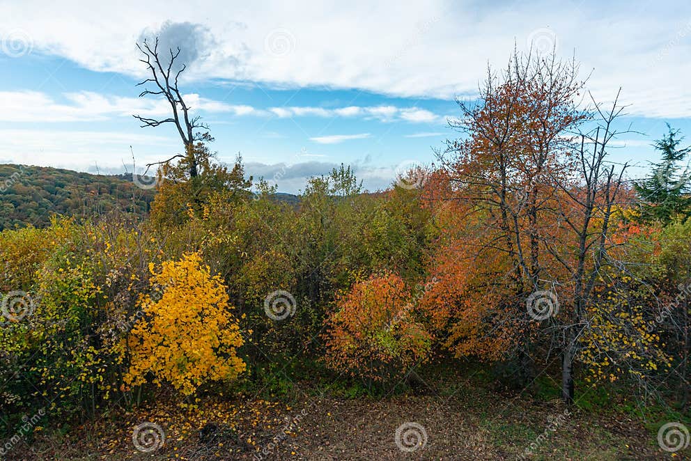 Panorama of Mount Fruska Gora in the Fall Stock Photo - Image of forest ...