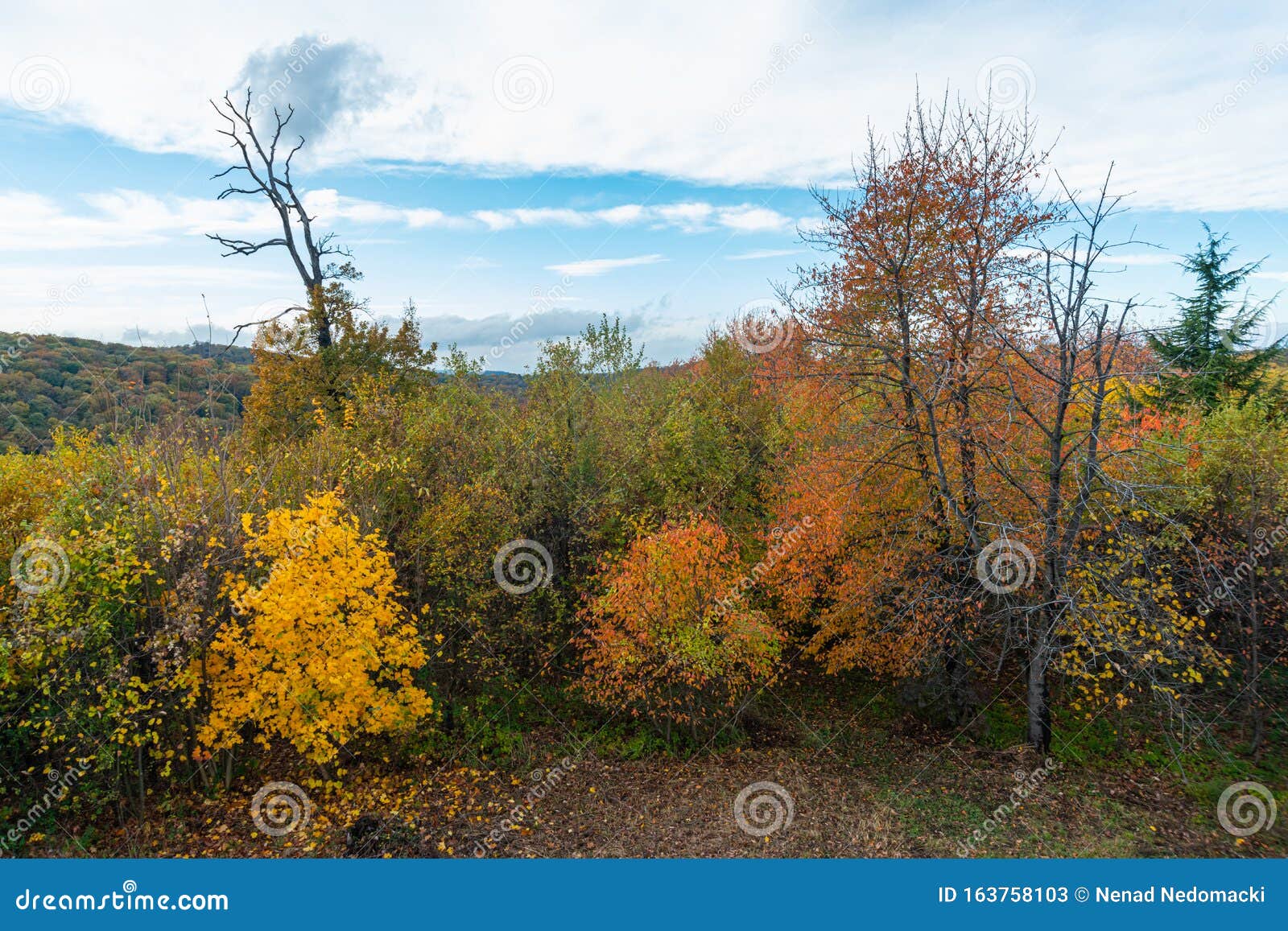 Panorama of Mount Fruska Gora in the Fall Stock Image - Image of green ...
