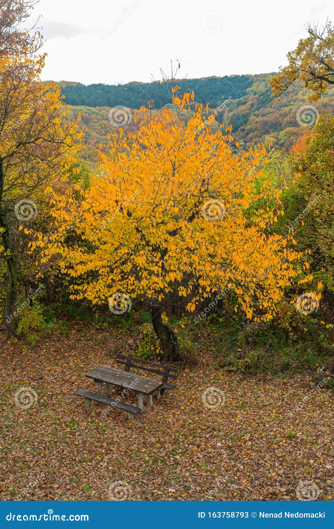 Panorama of Mount Fruska Gora in the Fall Stock Image - Image of ...