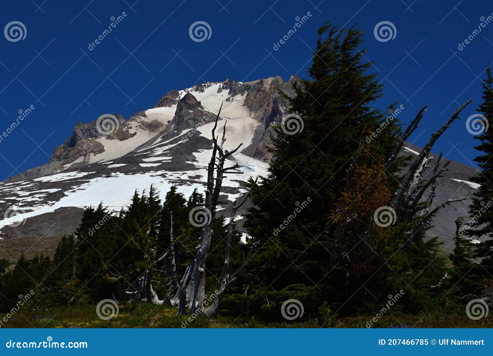 Panorama of Mount Hood, Volcano in the Cascade Range, Oregon Stock ...