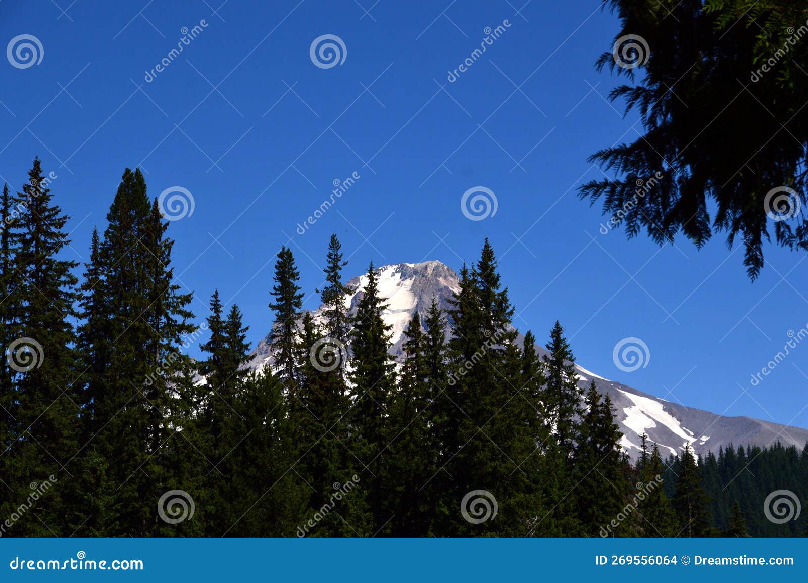 Panorama of Mount Hood, Volcano in the Cascade Range, Oregon Stock ...