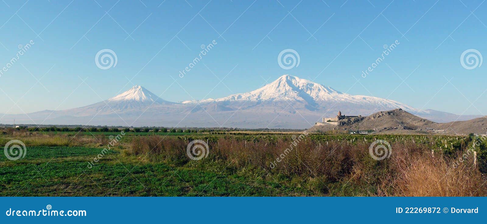 Panorama on Mountain Ararat Stock Photo - Image of ararat, vineyards ...