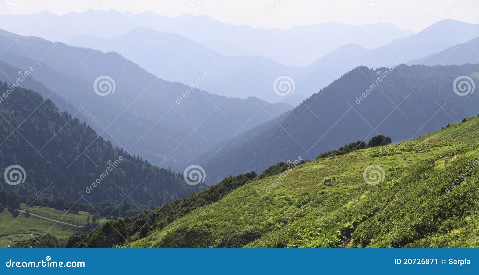 Panorama Of Mountains Edges Stock Image - Image of landscape, mammal ...