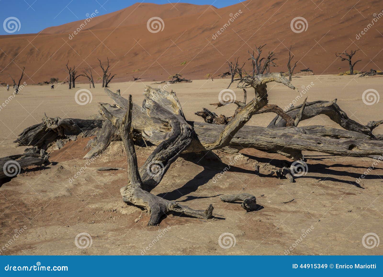 Panorama in Namibia stock image. Image of panorama, orange - 44915349