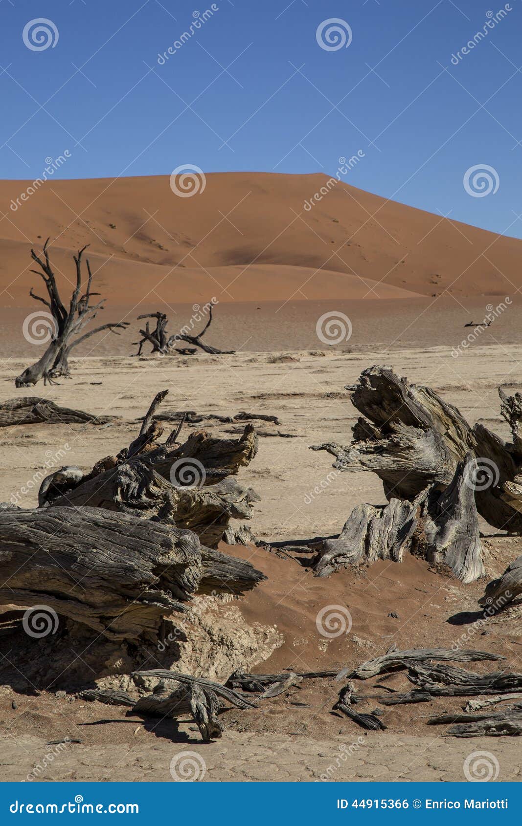 Panorama in Namibia stock photo. Image of surreal, scenic - 44915366