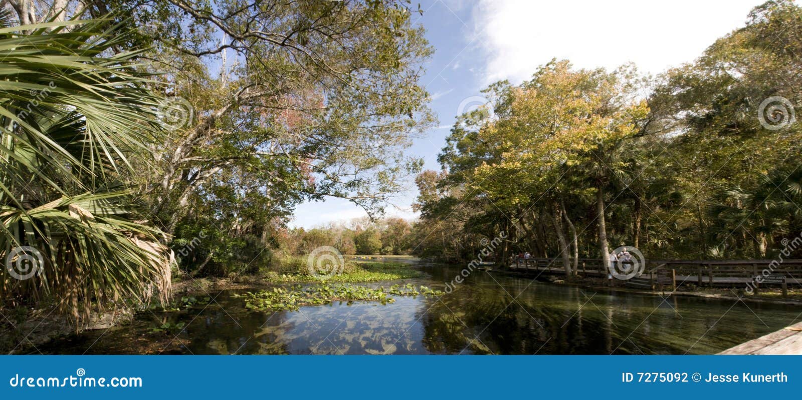 Panorama of Natural Spring in Florida Stock Photo - Image of national ...