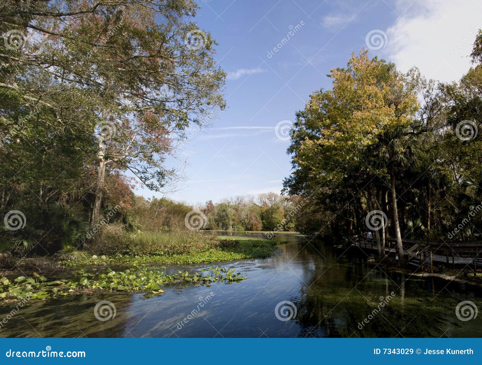 Panorama of Natural Spring in Florida Stock Image - Image of blue ...