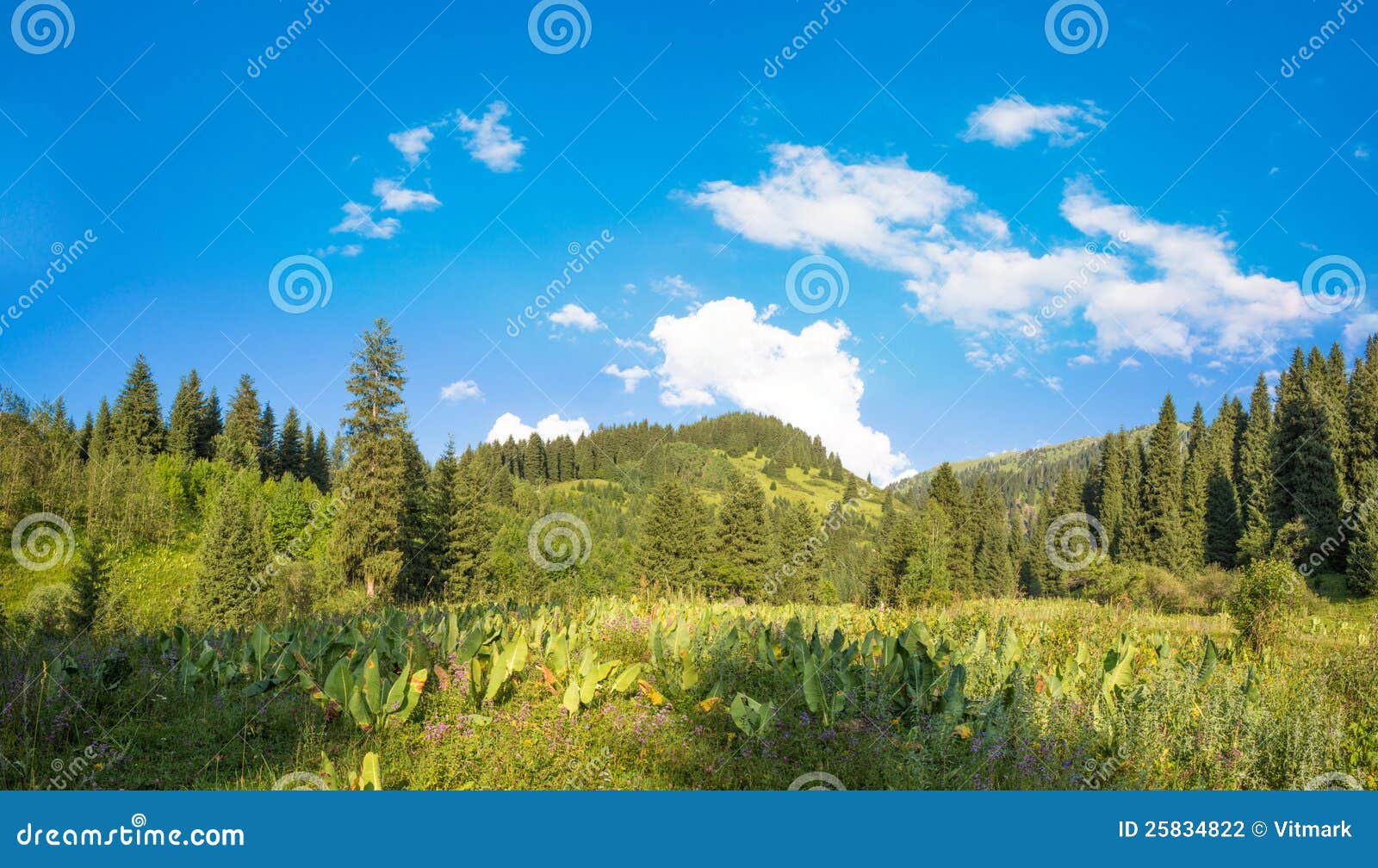 Panorama of the Nature in Almaty, Kazakhstan Stock Photo - Image of ...