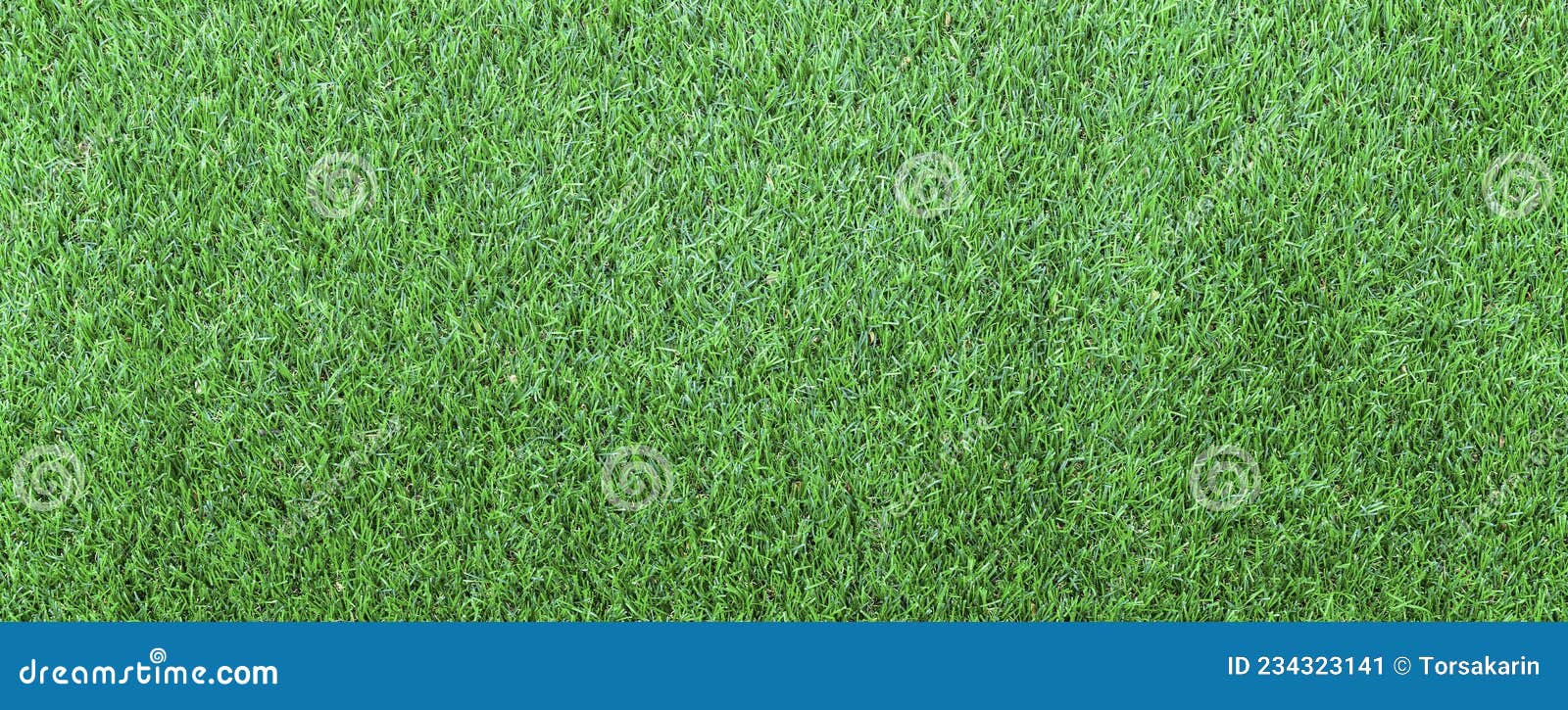 New Green Artificial Turf Flooring Texture and Background Seamless ...