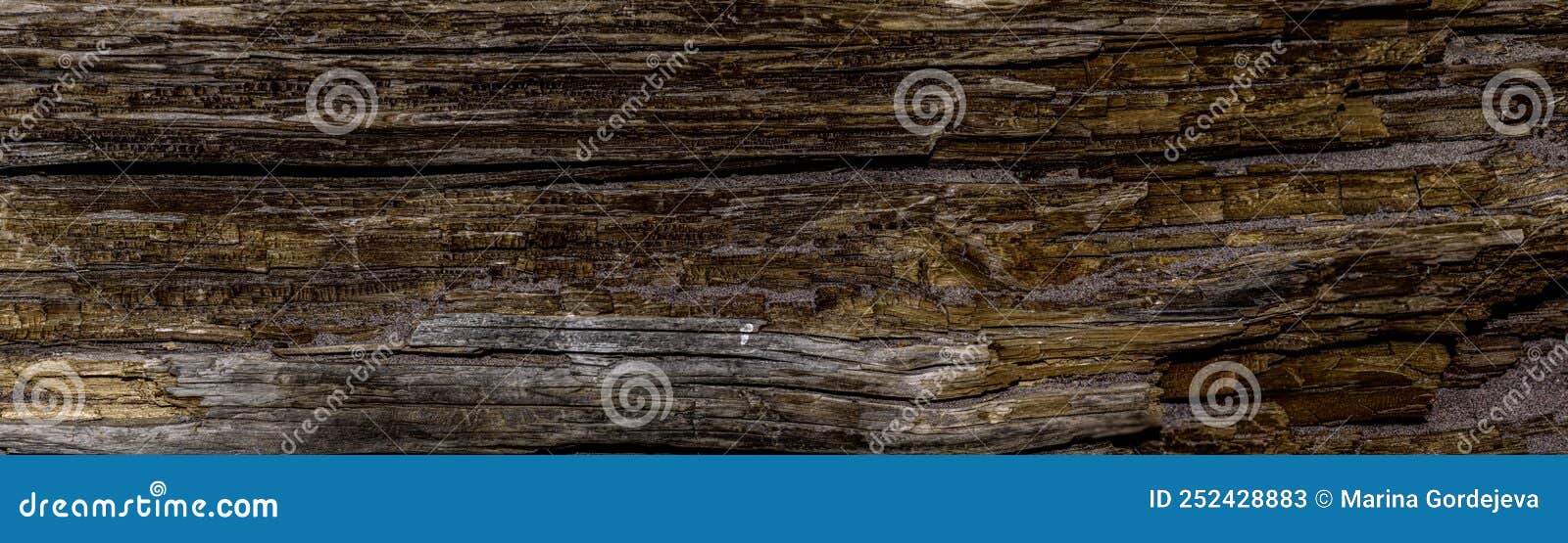 Panorama of an Old Dark Rough Wood Floor or Surface with Splinters and ...
