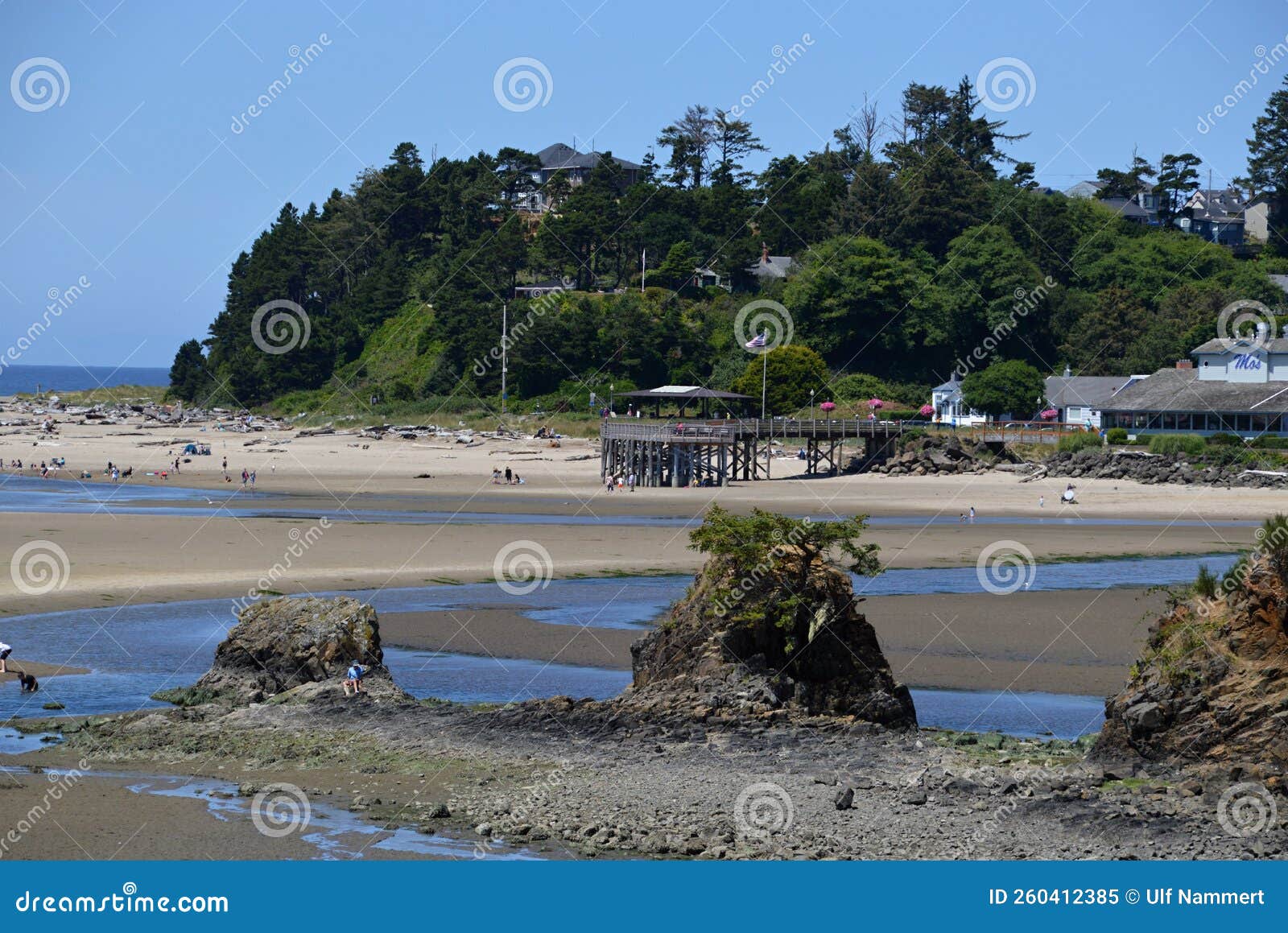 Panorama at the Pacific Coast, Oregon Editorial Image - Image of scenic ...