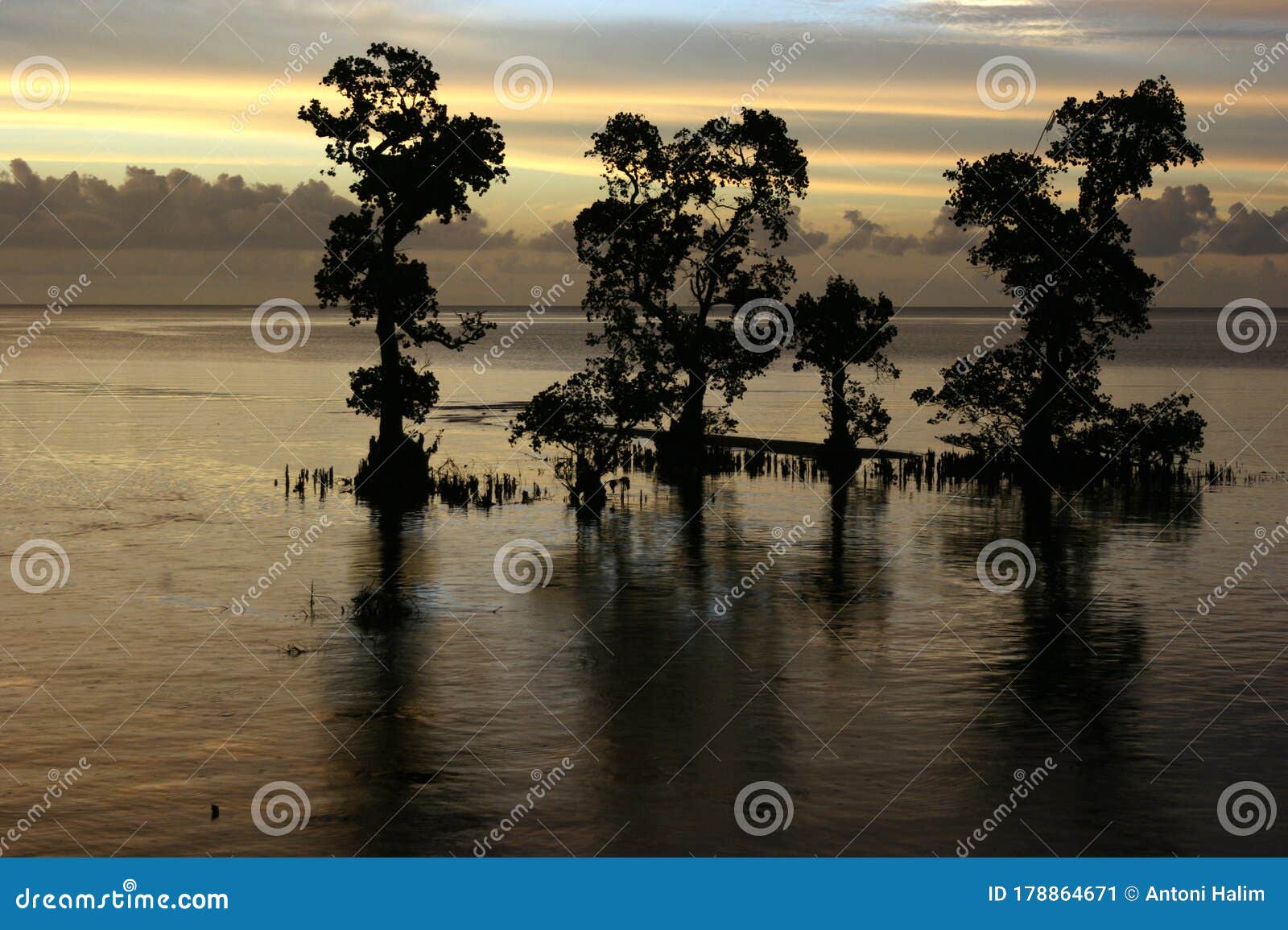 Palippi Beach at Majene Indonesia Stock Image - Image of indonesia ...