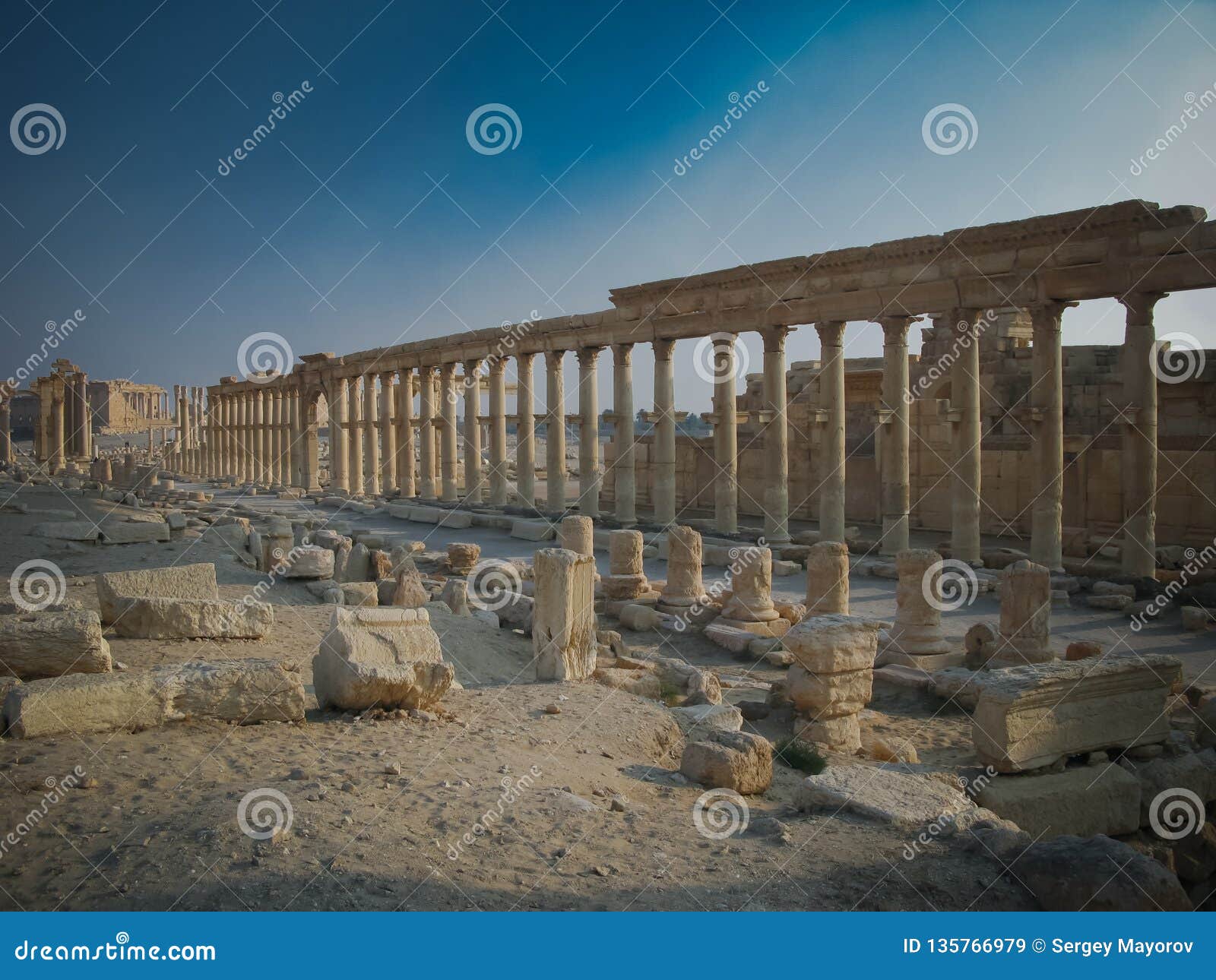 Panorama of Palmyra Columns and Ancient City, Destroyed Now, Syria ...