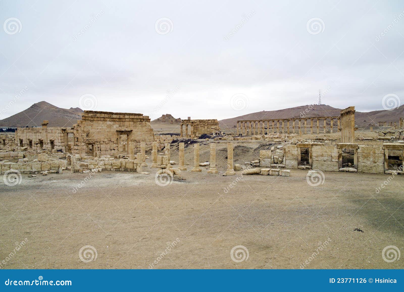 Panorama at Palmyra, Syria stock photo. Image of desert - 23771126
