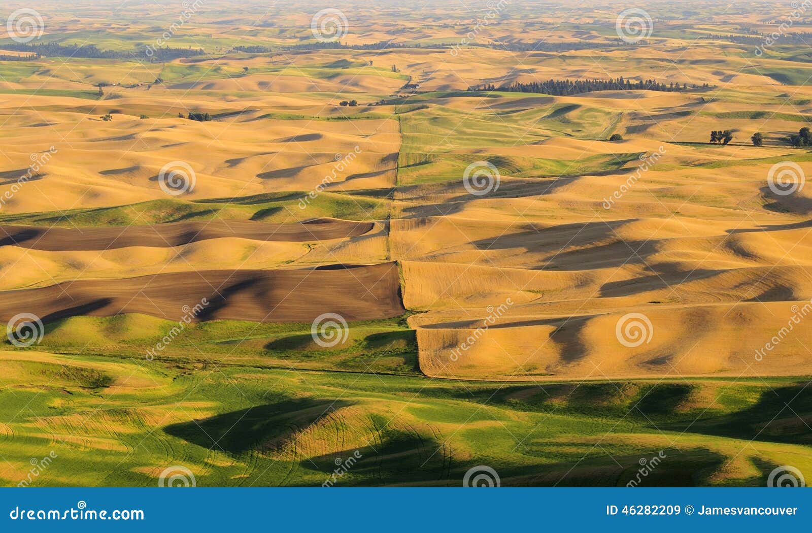 Panorama of Palouse, Washington State Stock Image - Image of hill ...