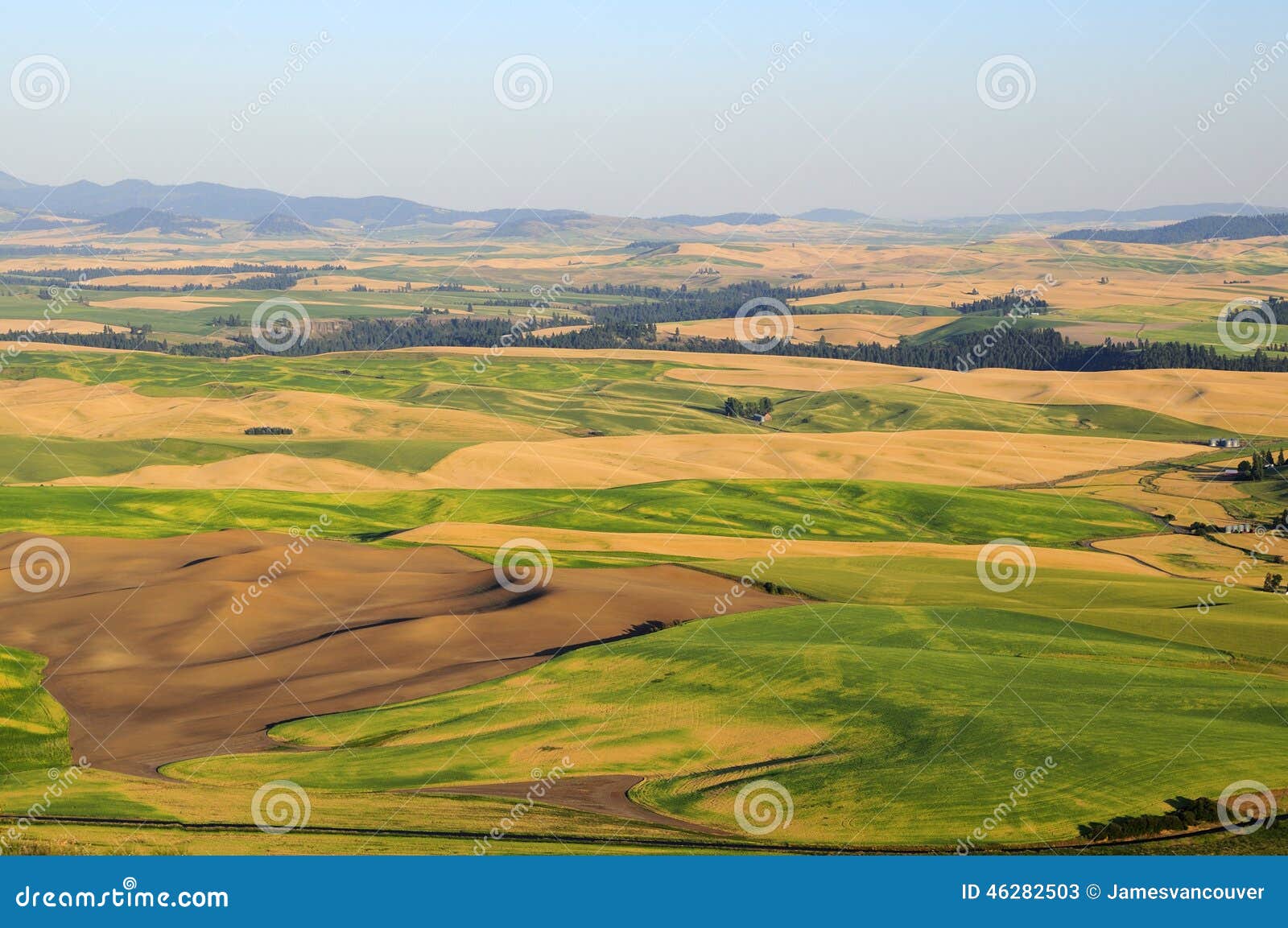 Panorama of Palouse, Washington State Stock Image - Image of colour ...