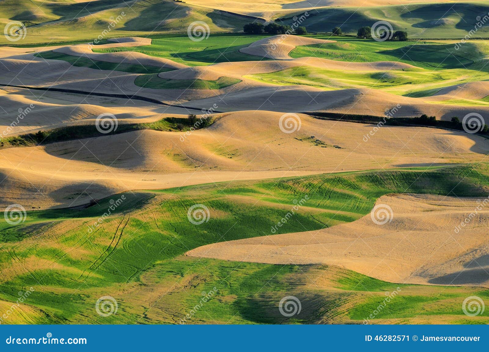 Panorama Of The Palouse River Winding Through Volcanic Cliffs At ...