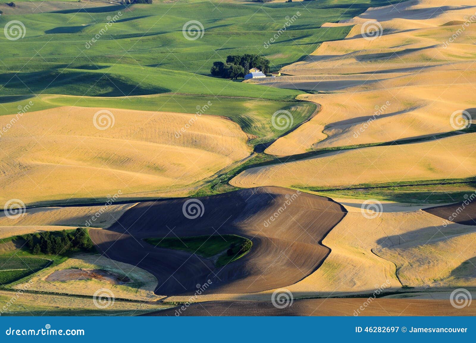 Panorama of Palouse, Washington State Stock Image - Image of background ...