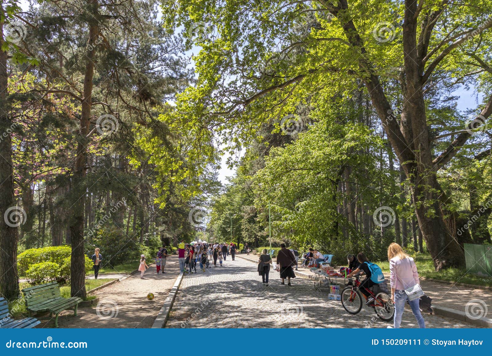 Panorama of Park St. Vrach in Town of Sandanski, Bulgaria Editorial ...