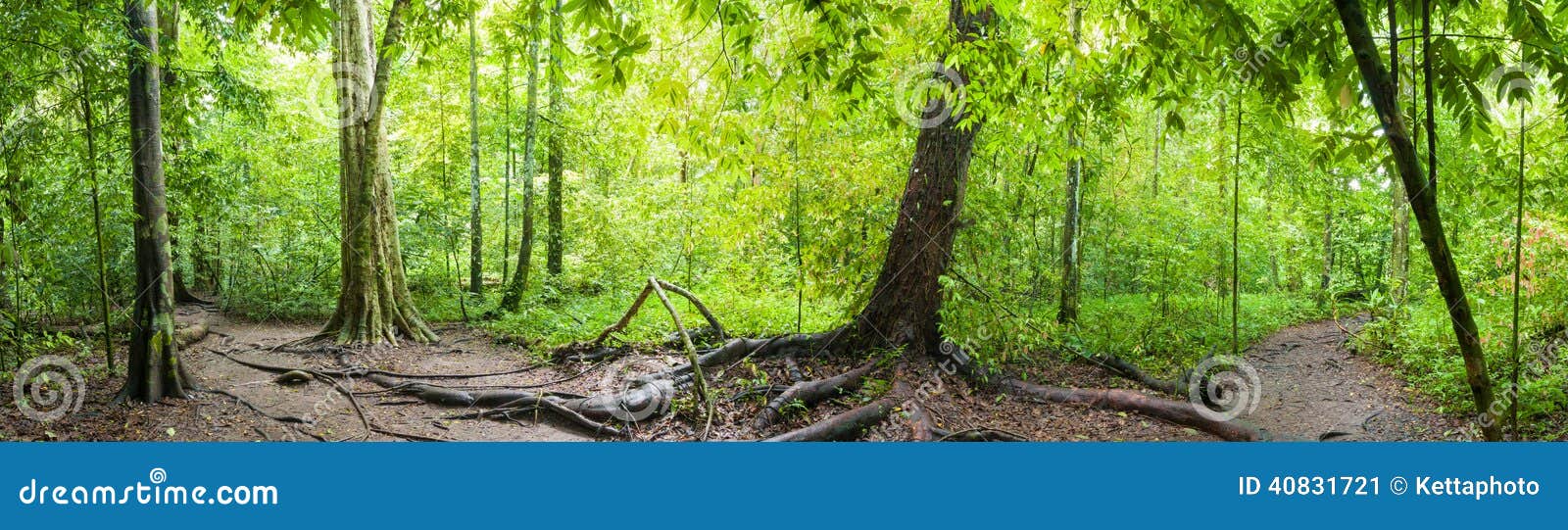 117 Emerald Beams Stock Photos - Free & Royalty-Free Stock Photos from ...