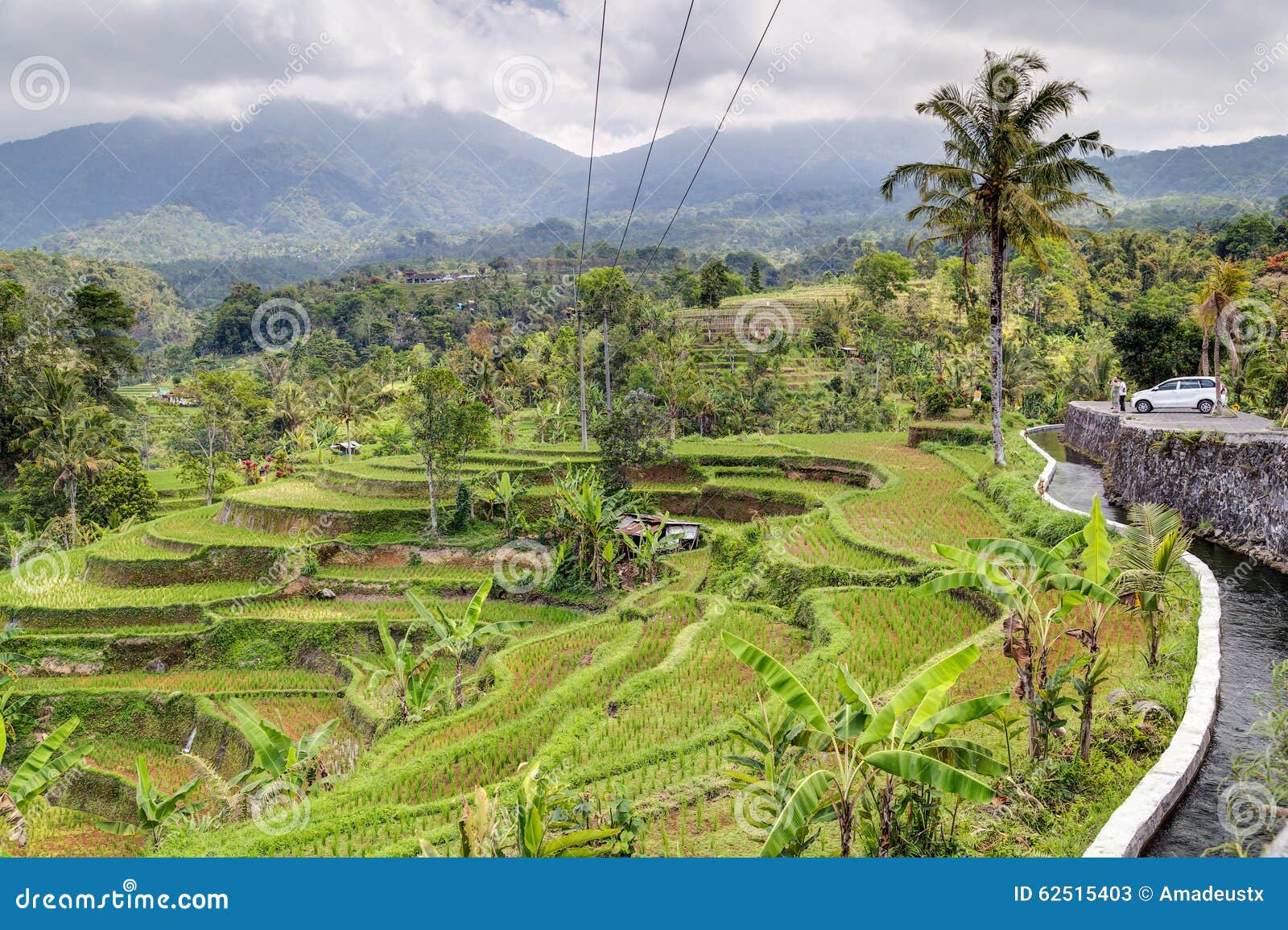Panorama of Rice Terraces in Bali with Mountains in Background Stock ...