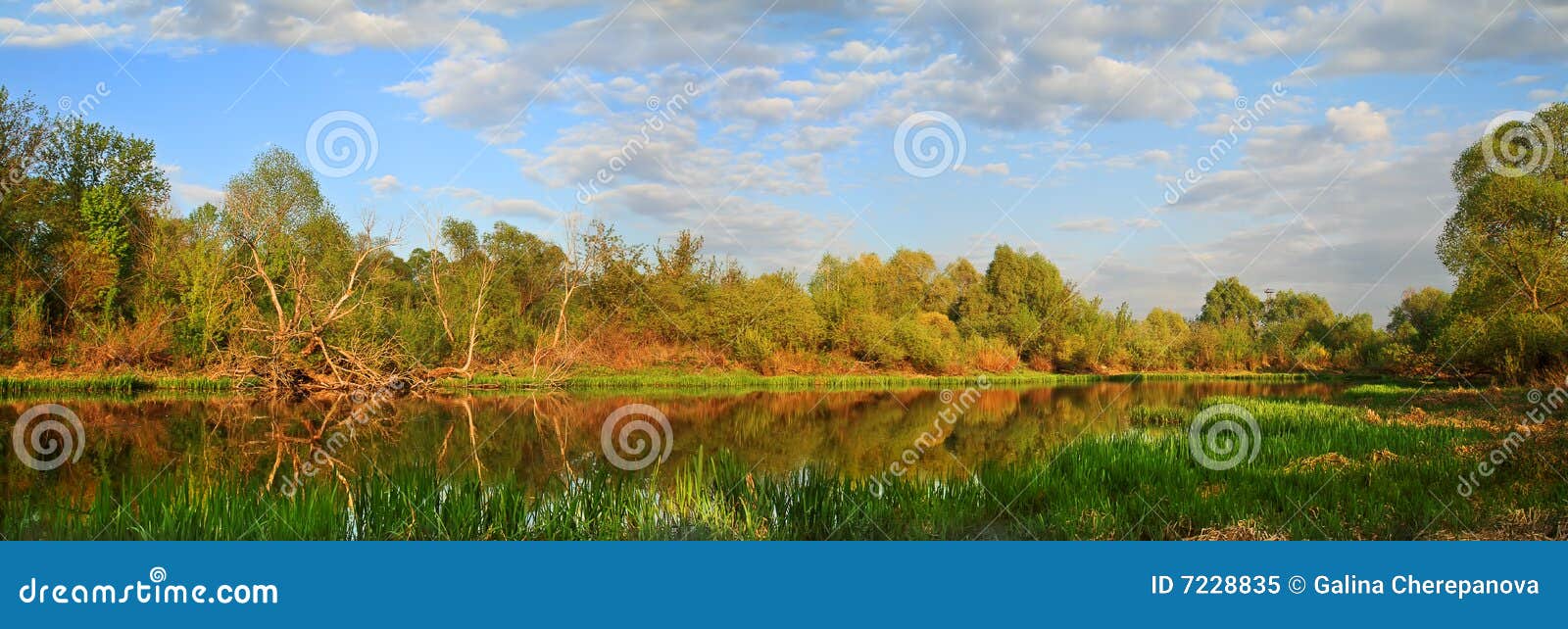 Panorama the river stock image. Image of branch, scenics - 7228835