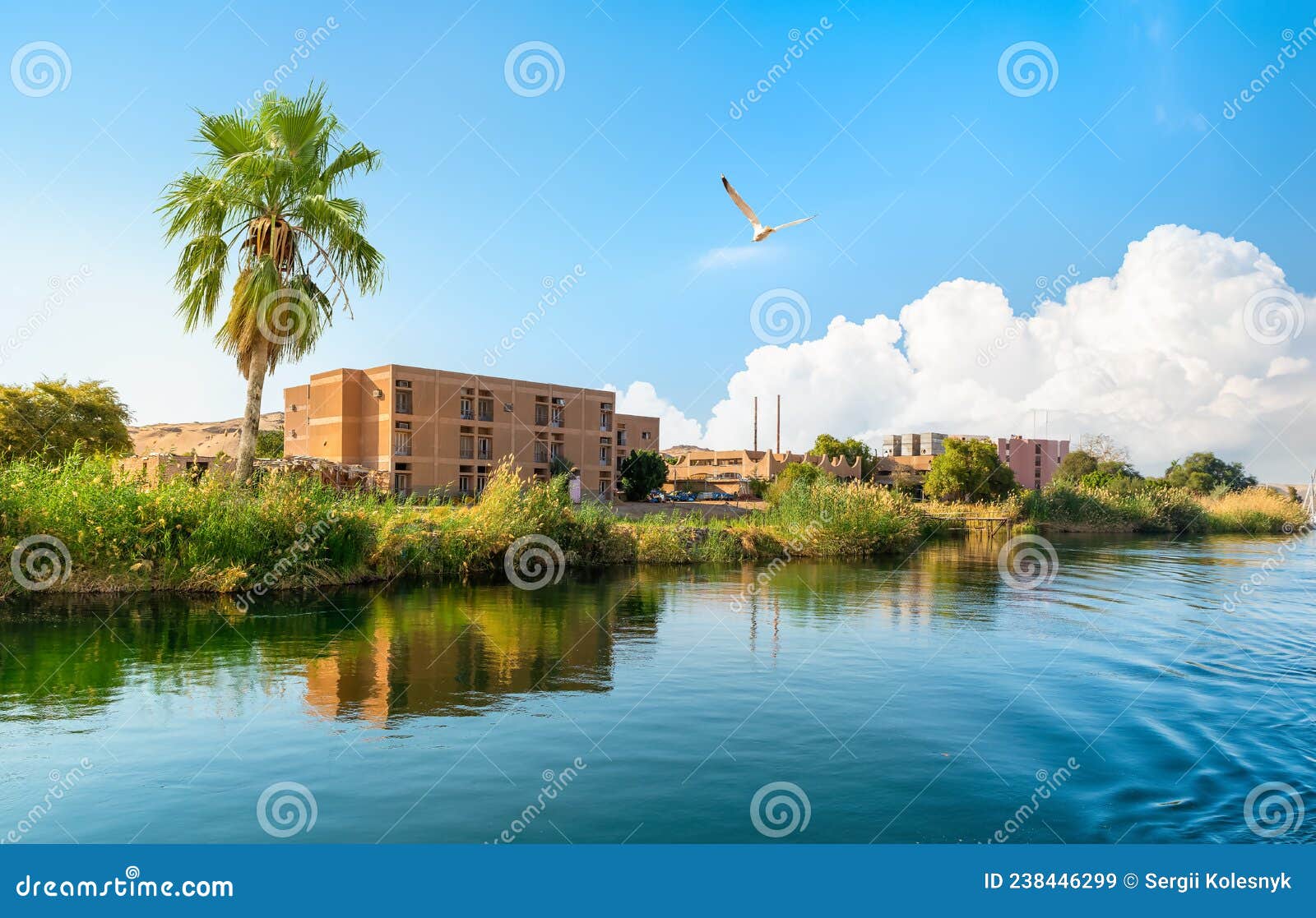 Panorama River Nile and Boats Stock Image - Image of navigation, travel ...